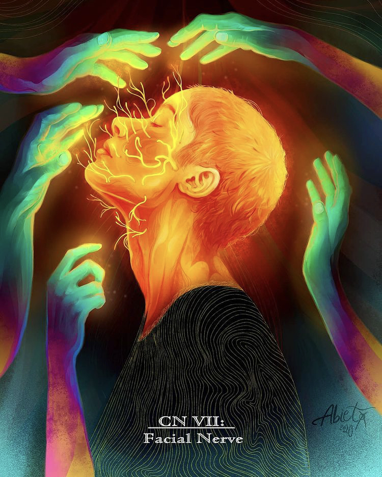 The Unnaming – New Ohio Review